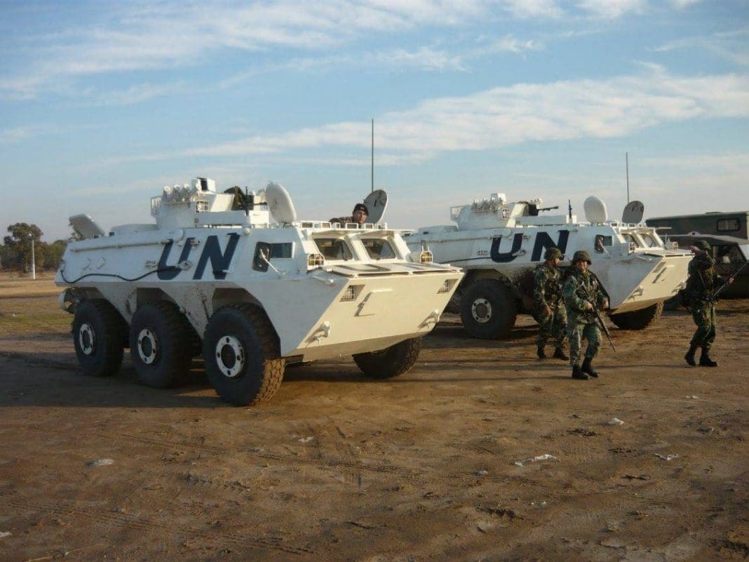 VN-1, un leopardo para las pampas Argentina.