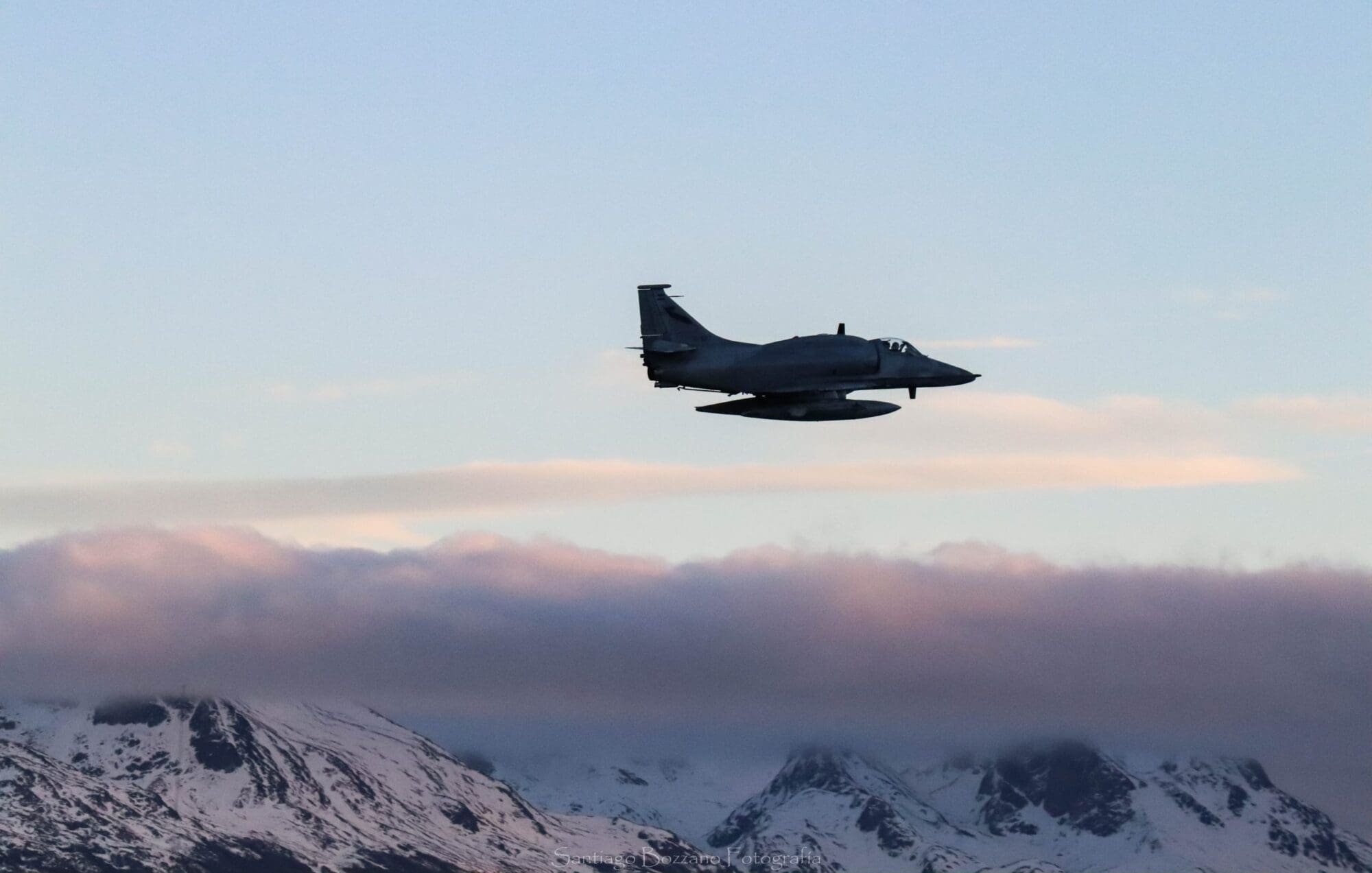 Galería - Halcones en el sur.