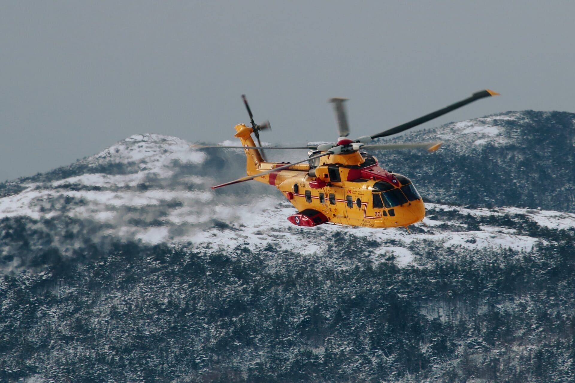 Leonardo realizará la modernización de los CH-149 Cormorant canadienses