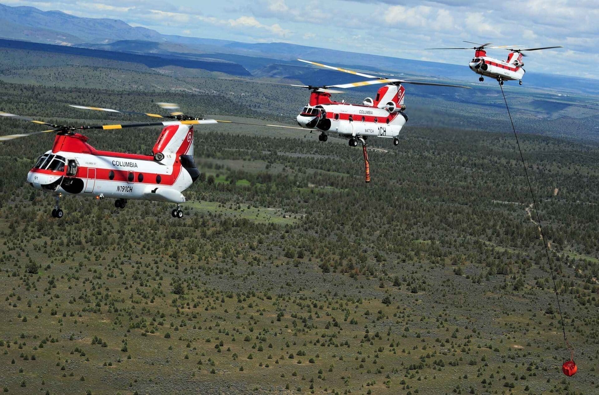 Model 234 Chinook y Vertol 107-II para las FFAA de la región ...