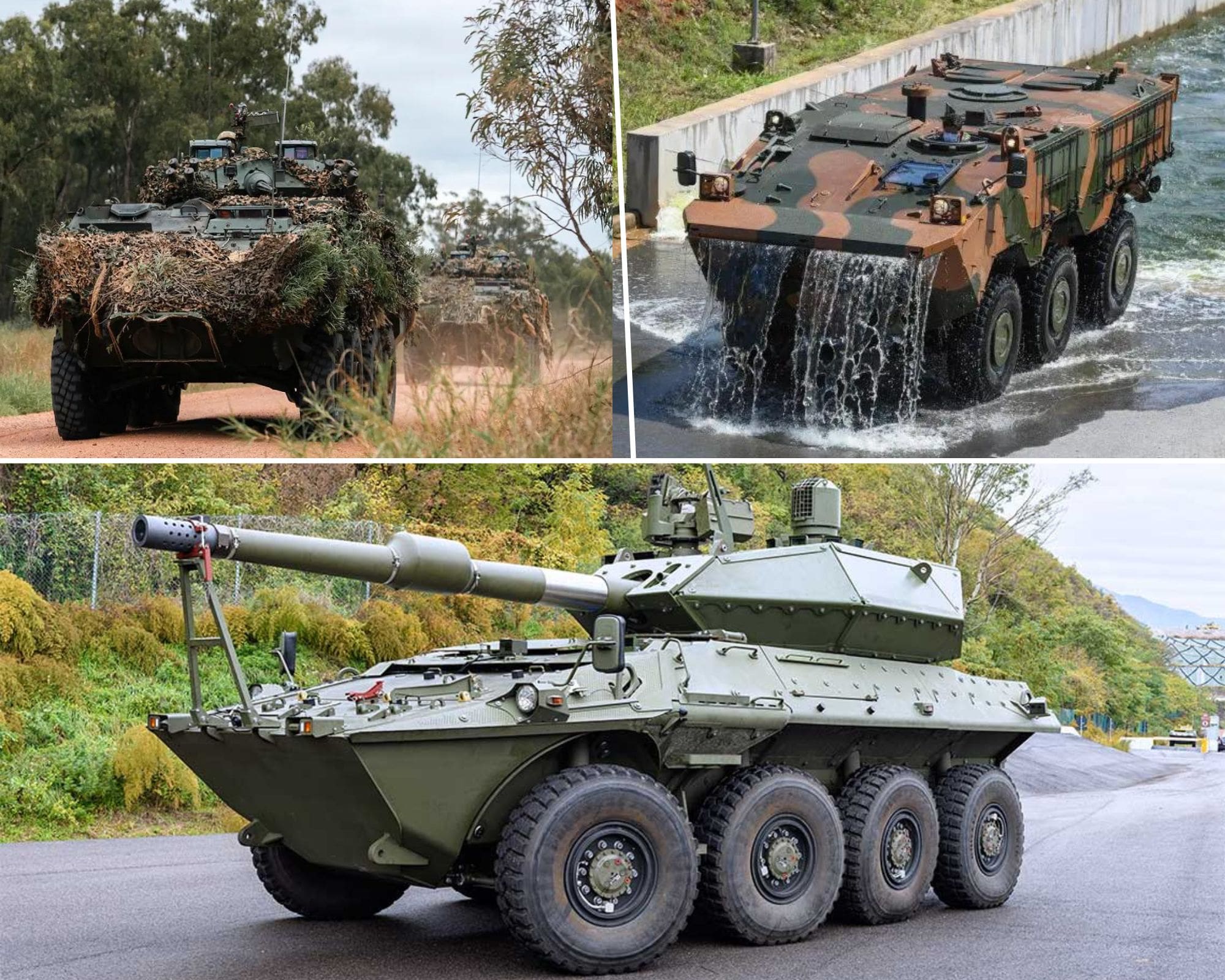 Mientras Brasil avanza con la incorporación de los primeros VBC 8x8 ...