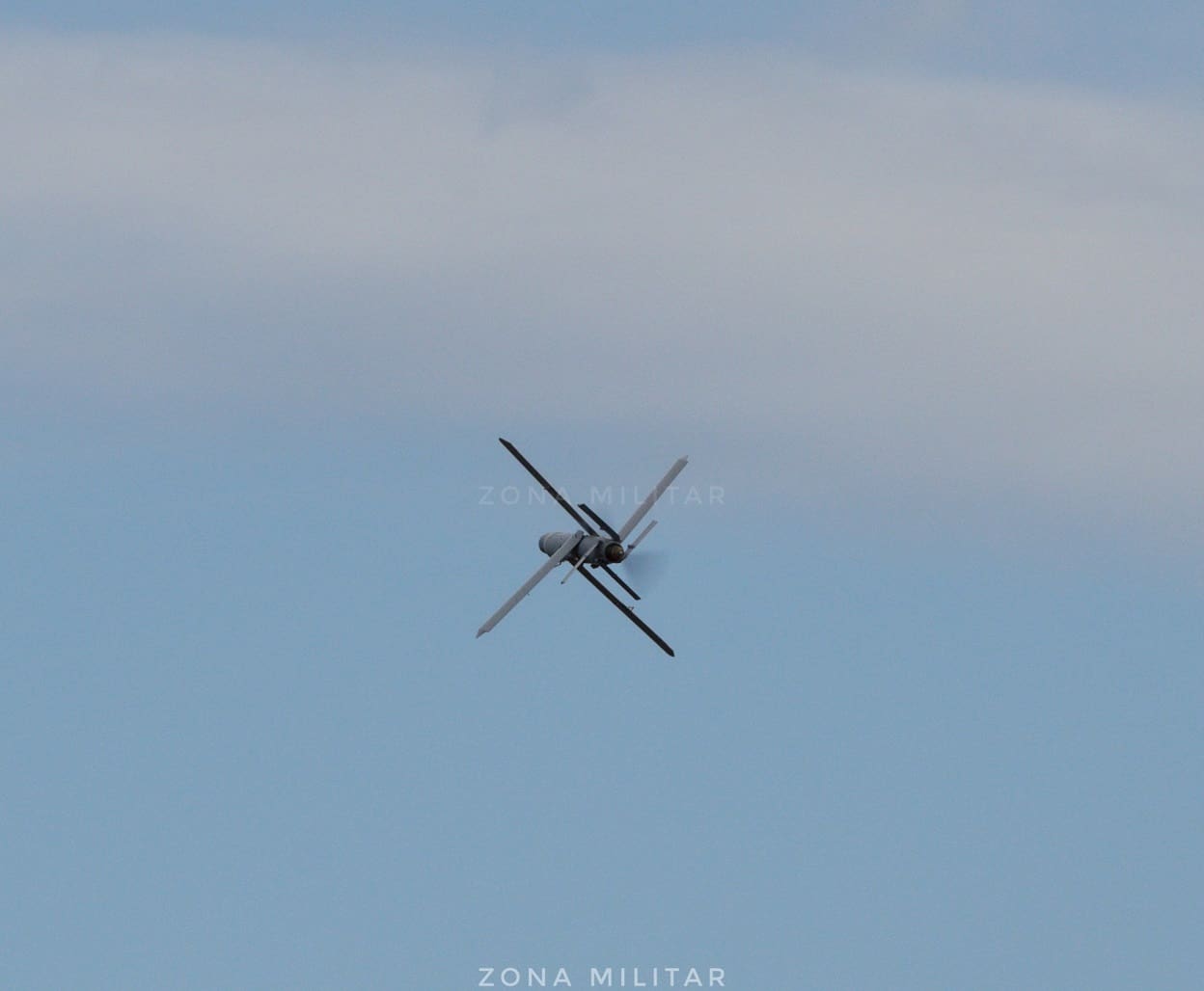 Cobertura - El Ejército Argentino lanzó una munición merodeadora ...