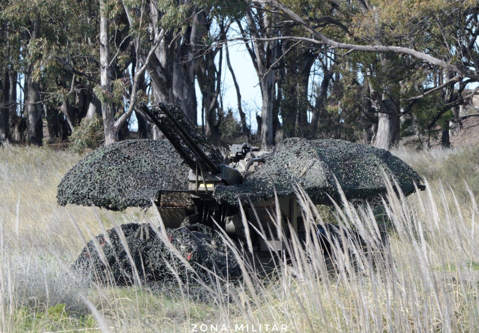 Cobertura - Así fue el despliegue de las Fuerzas Armadas Argentinas en ...