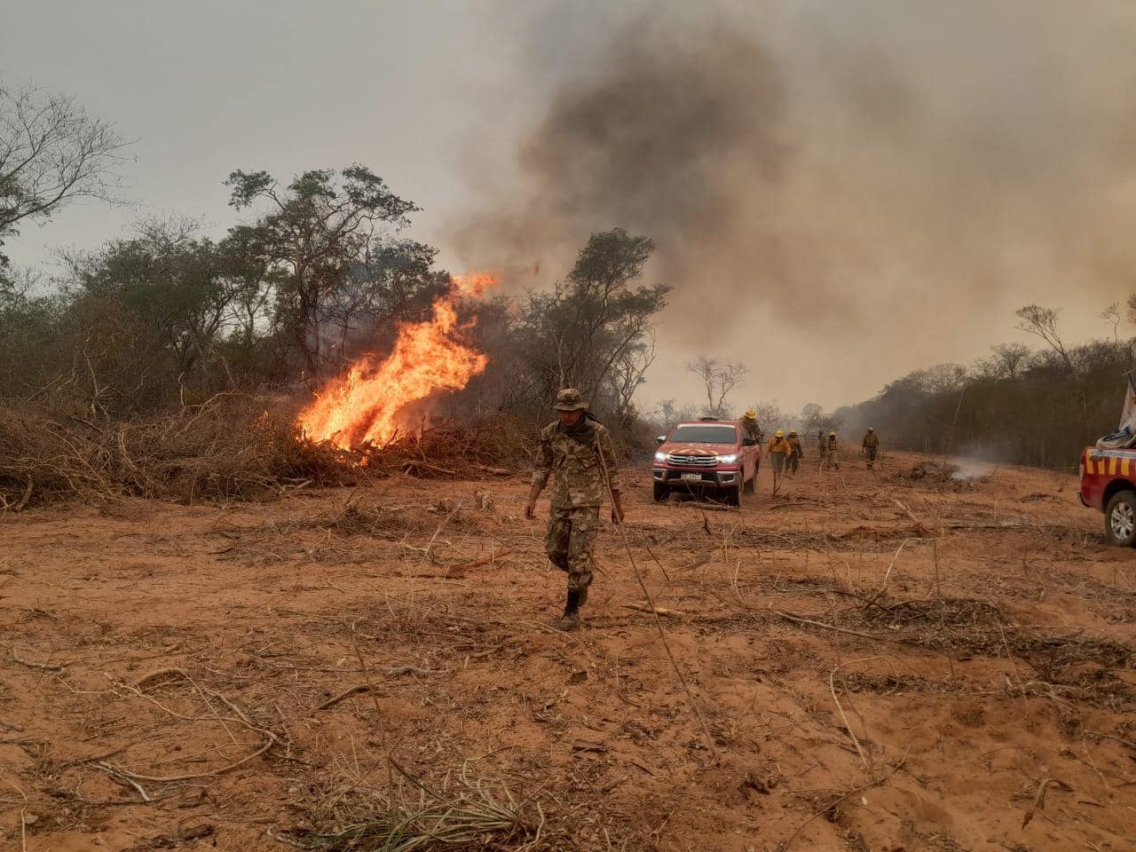 Las Fuerzas Armadas de Paraguay combaten incendios y sequía en el Chaco ...